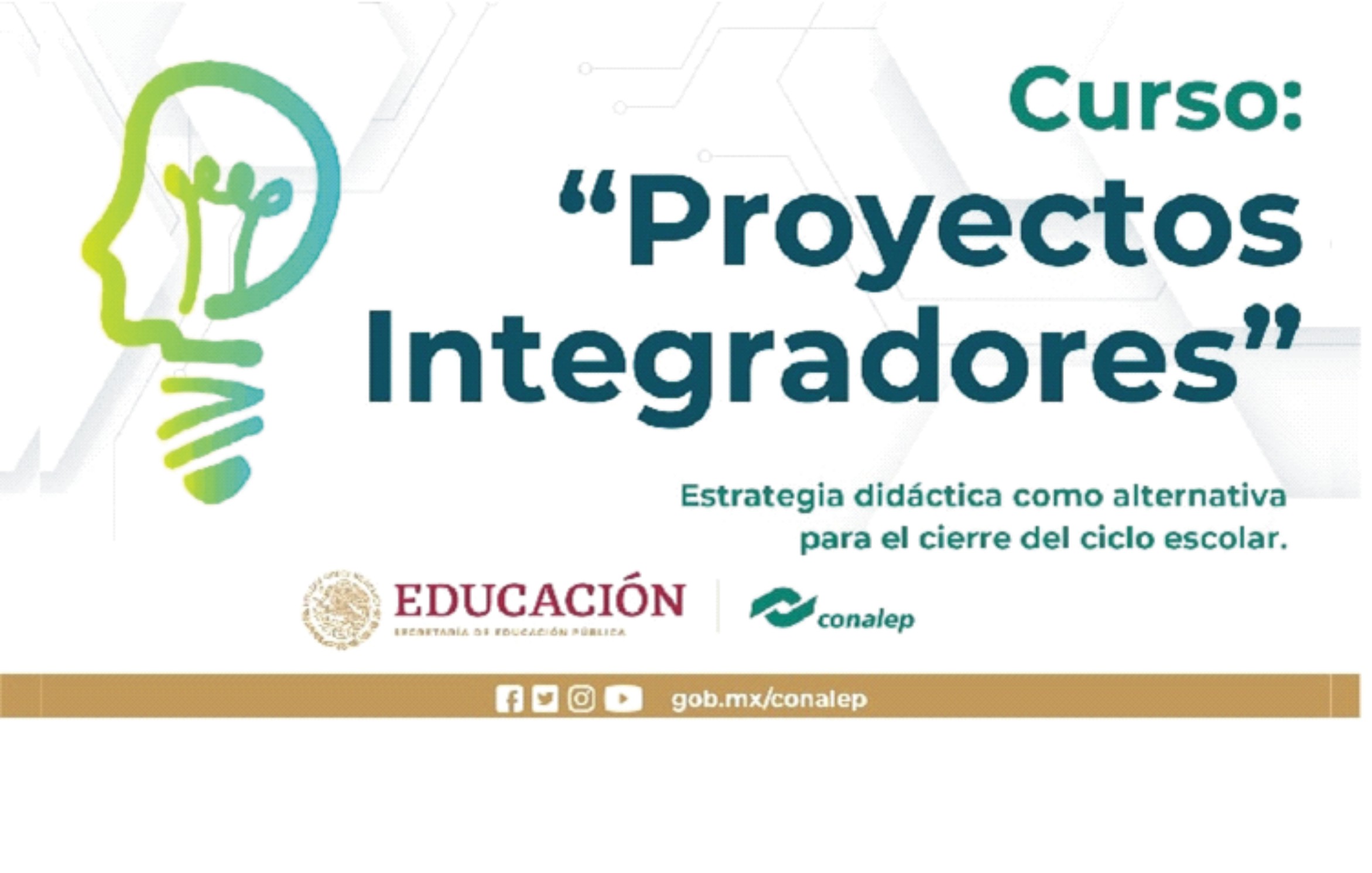 Curso Proyectos Integradores | Colegio Nacional de Educación ...