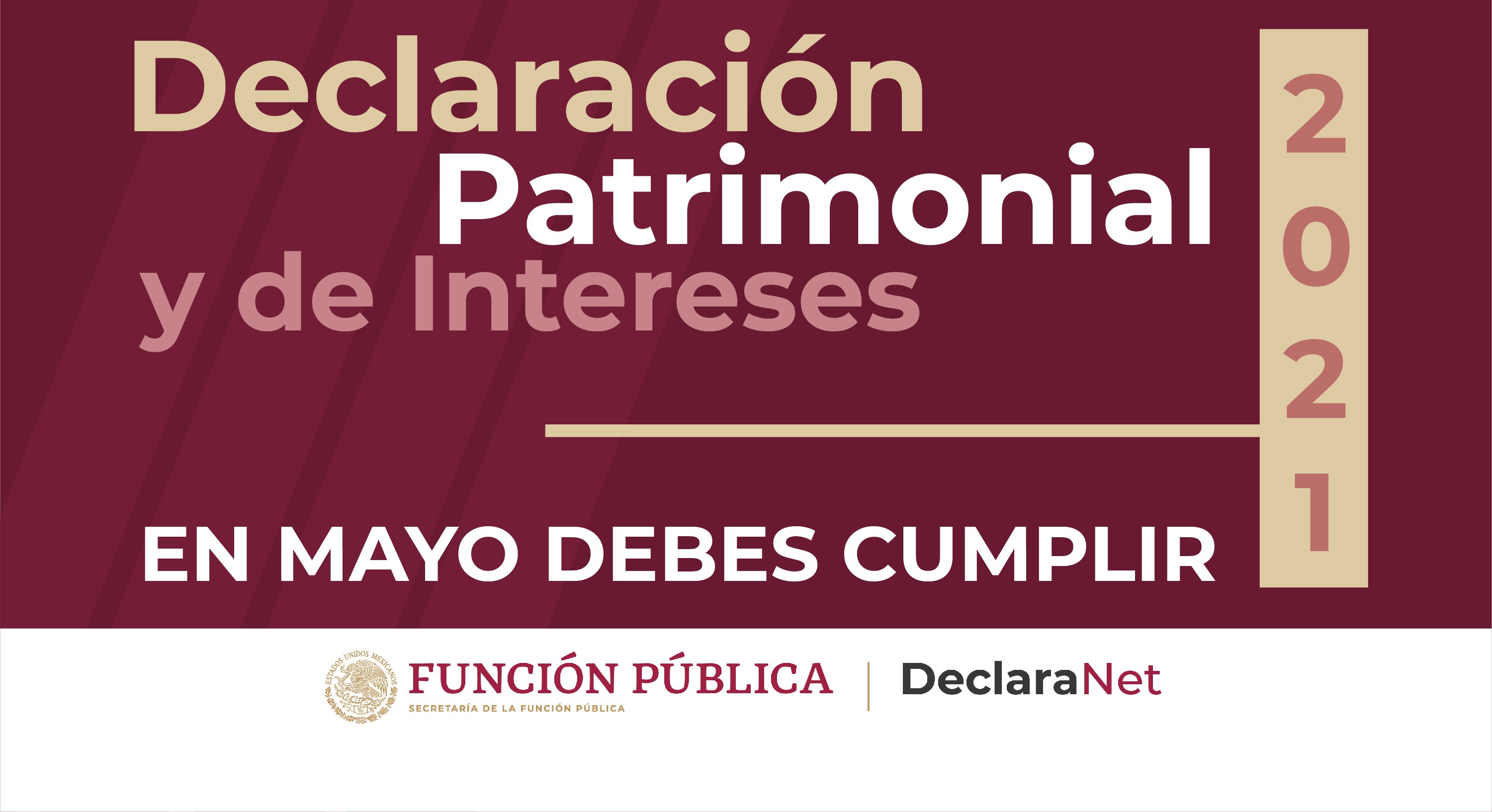 Declaración Patrimonial Y De Intereses 2021 Colegio Nacional De